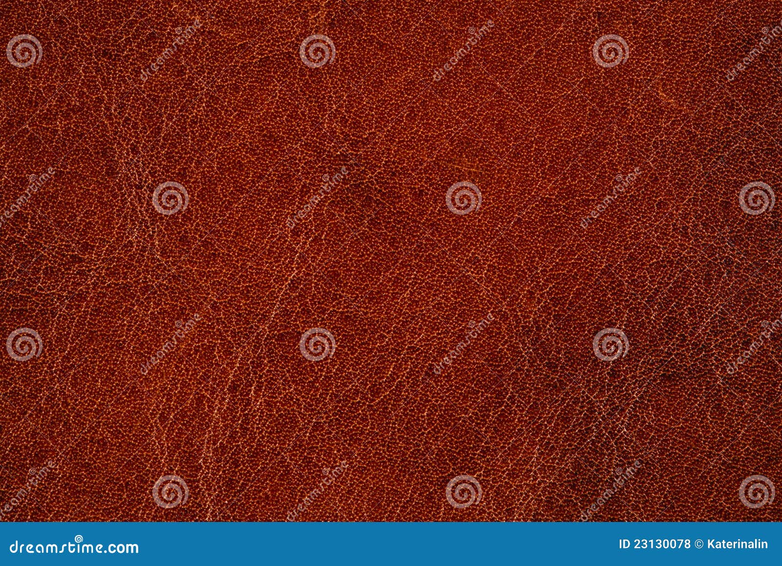 High Resolution Brown Leather Texture Stock Photo - Image of blank ...