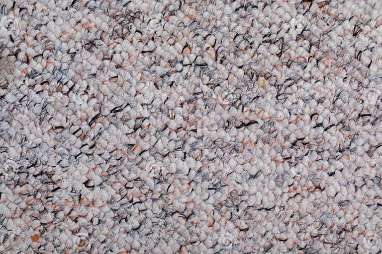High-Resolution Carpet Texture Background for Interior Design and ...