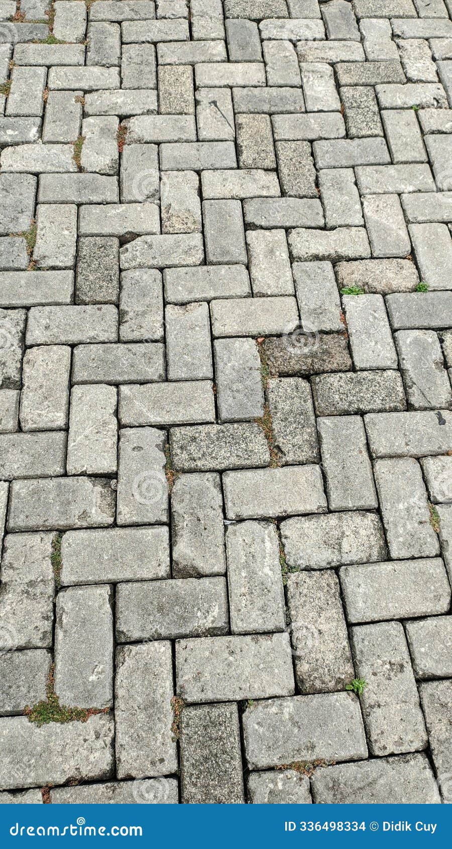 High-resolution Close-up of a Grey Stone Pavement with Irregular Green ...
