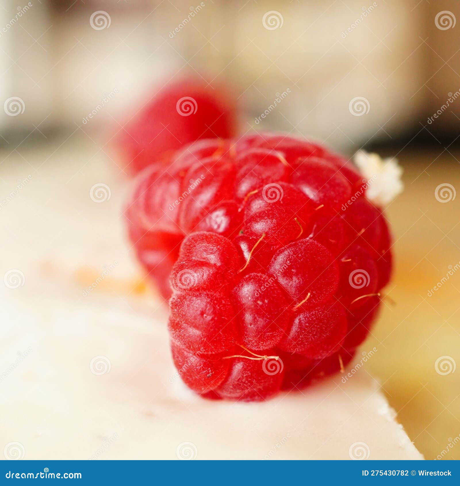High-resolution Closeup Image of a Bright Red Ripe Raspberry Stock ...