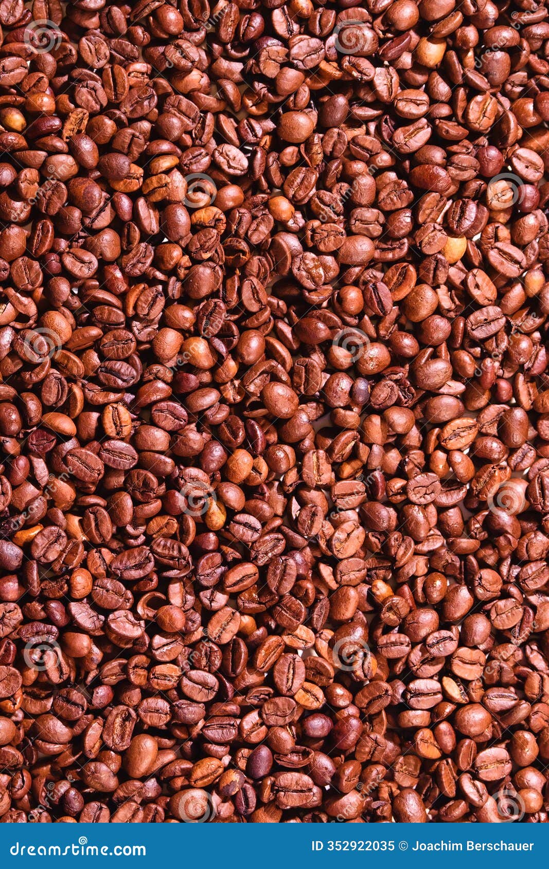 High-resolution Coffee Beans in Vertical Pattern Image Stock Image ...