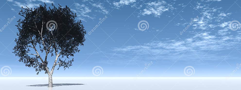 High Resolution Conceptual Banner Stock Photo - Image of pure, horizon ...