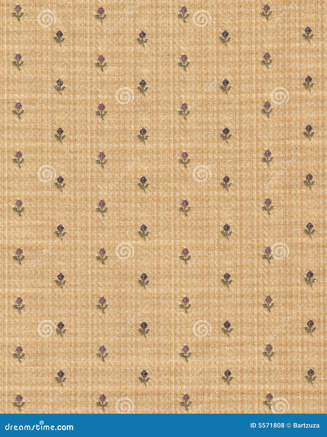 High Resolution Fabric Texture Picture. Image: 5571808