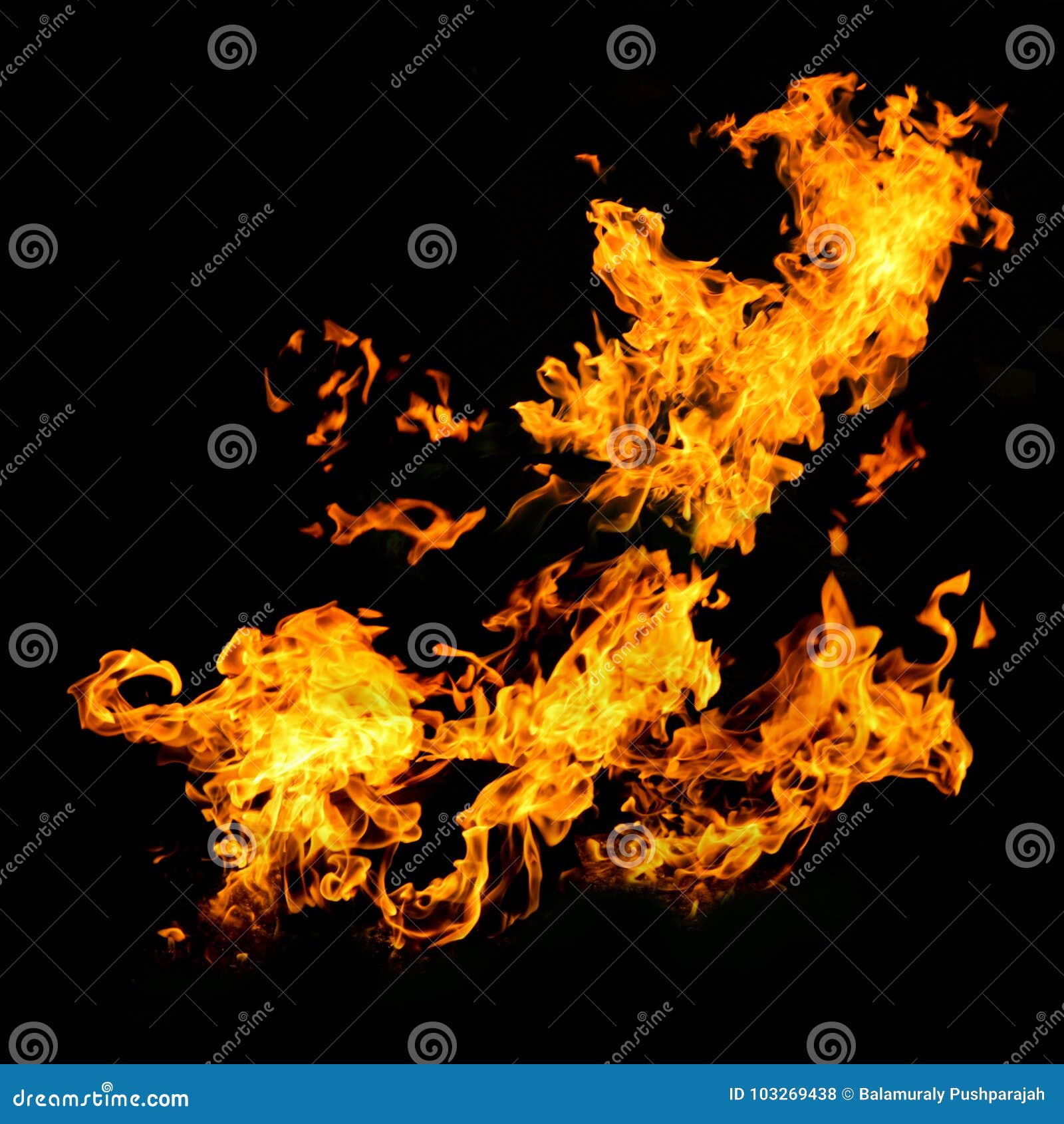 High Resolution Flames in Black Back Stock Photo - Image of phenix ...