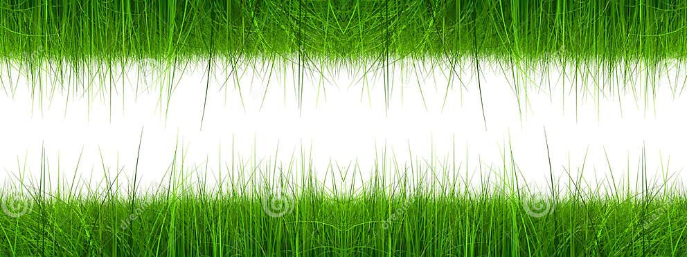 High Resolution Grass Isolated Stock Photo - Image of fresh, lawn: 17483318