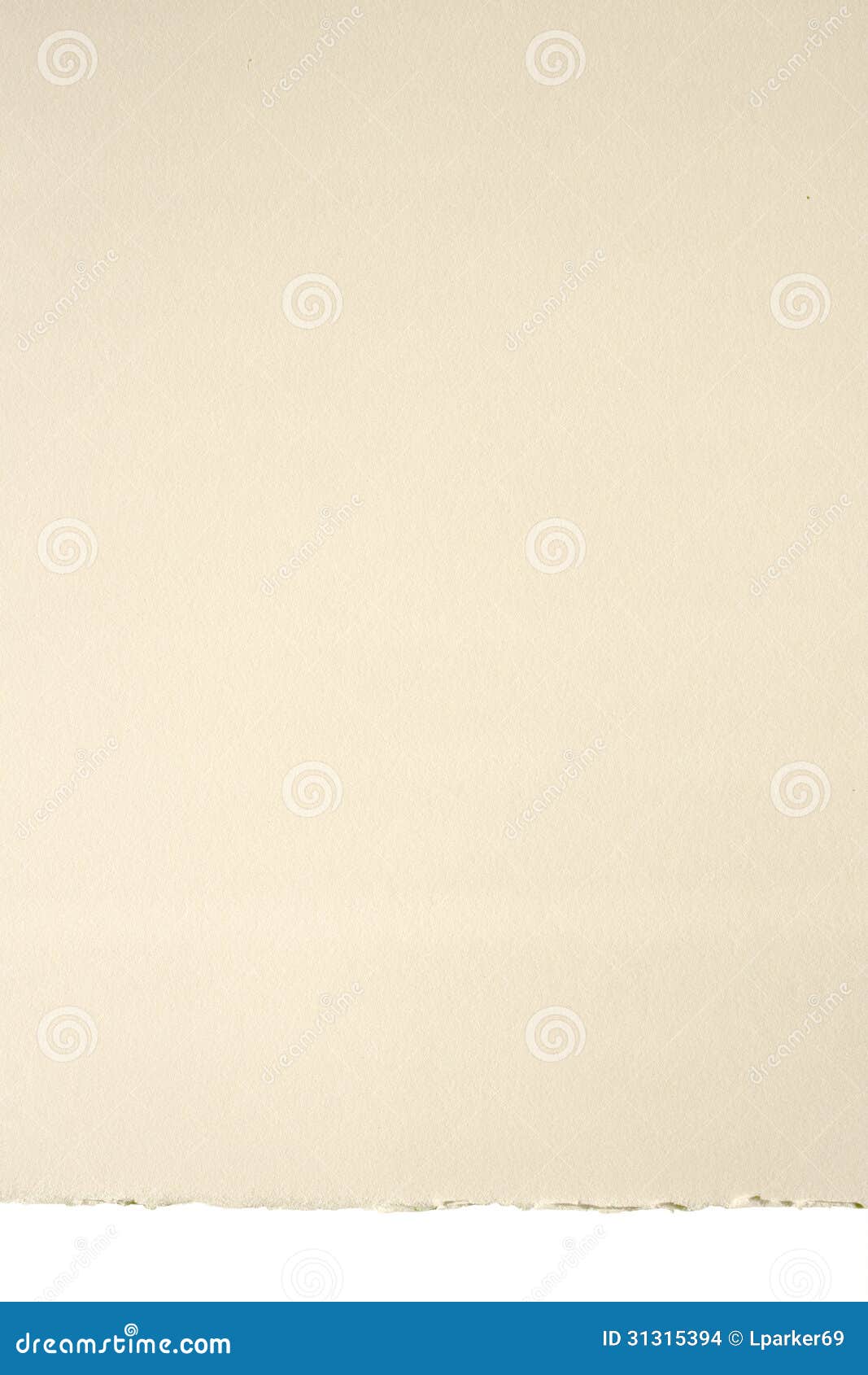 High Resolution Hot-pressed Watercolor Paper with Torn Edge Vertical ...