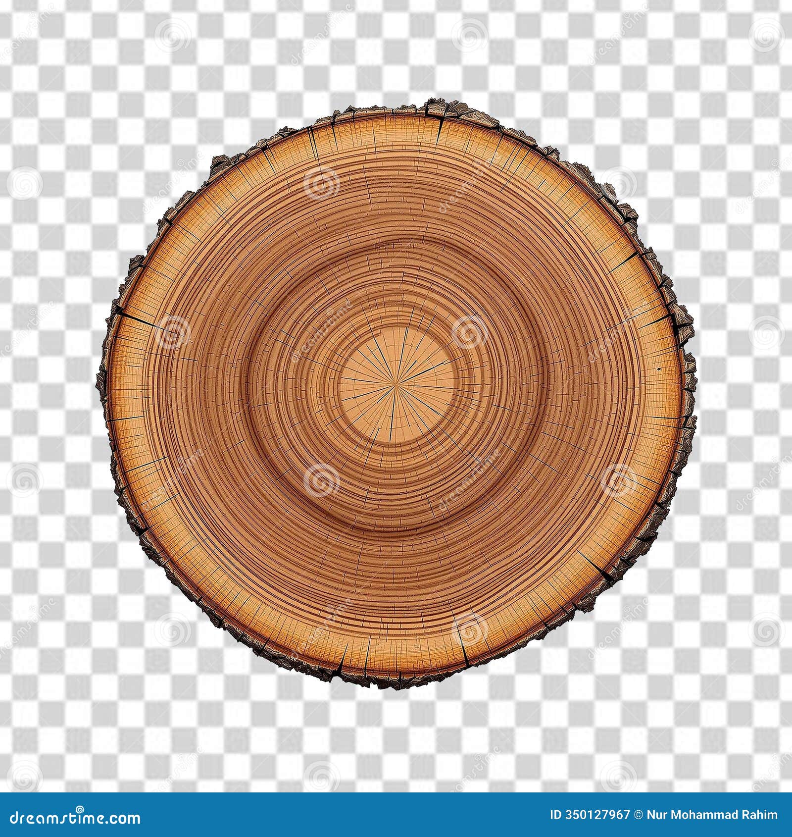 Close-up of a Light Brown Tree Slice with Natural Wood Grain on ...