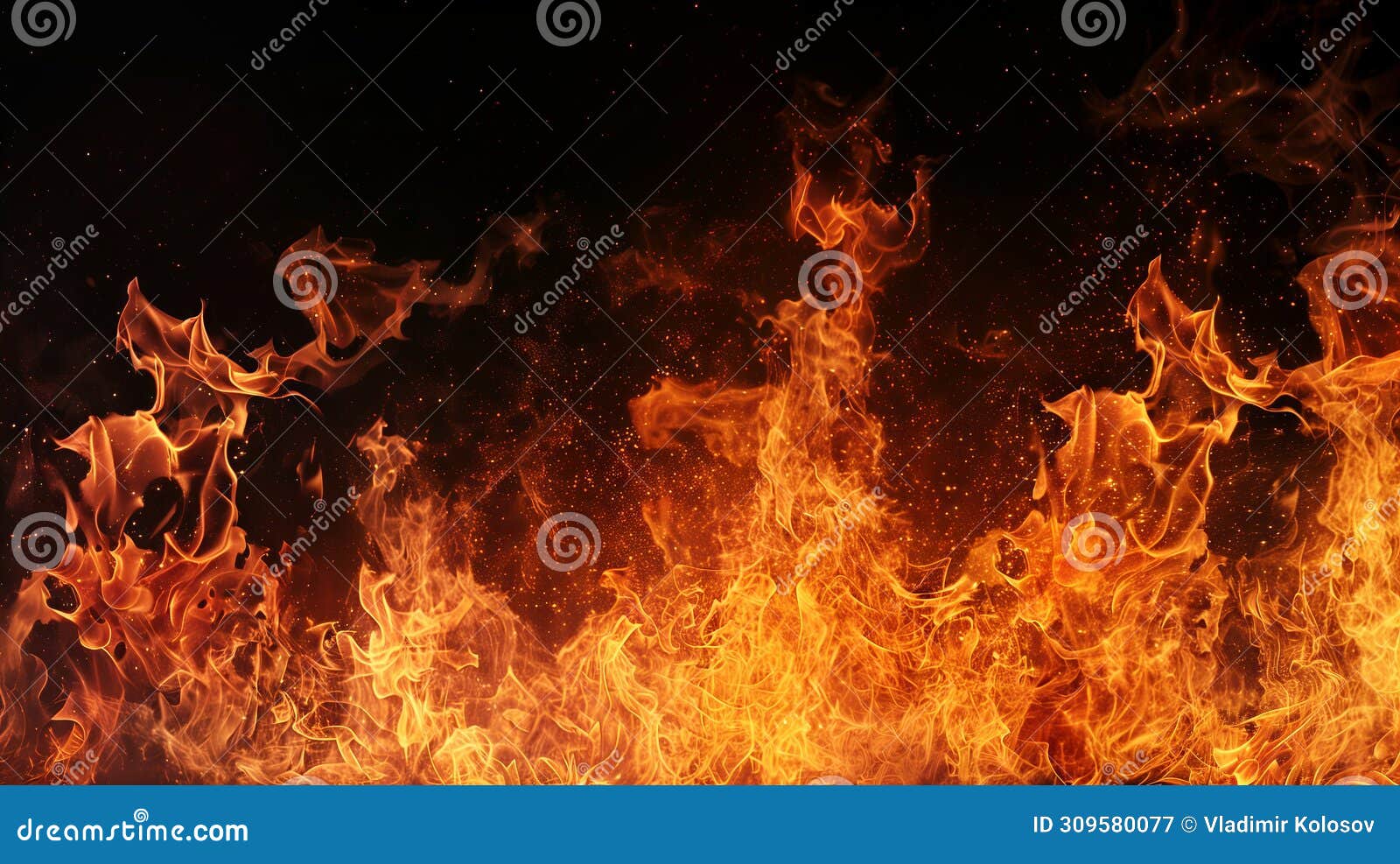 High-resolution Image Featuring Extremely Close-up and Crisp Texture of ...