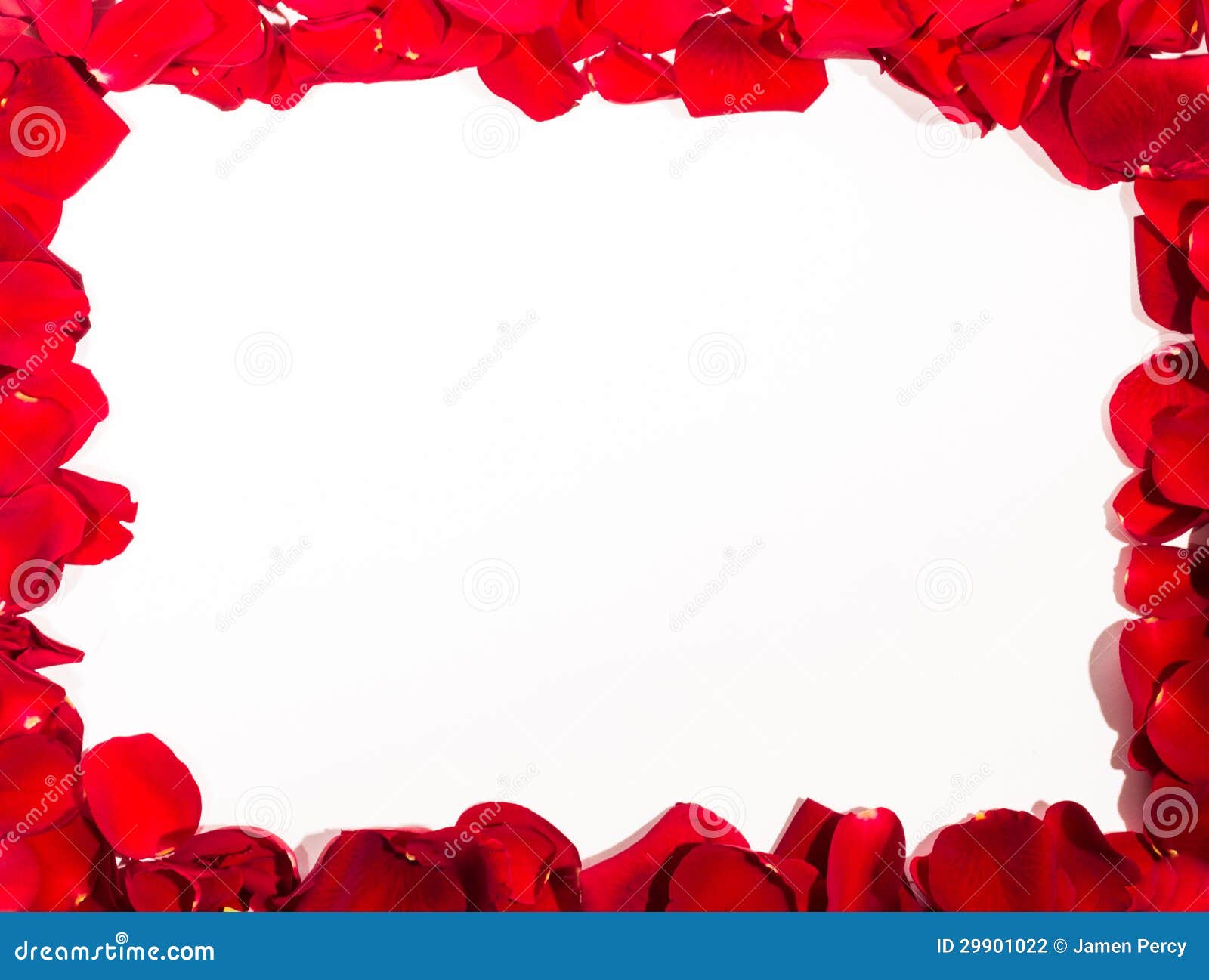 Romantic Red Rose Petal Frame Stock Photo - Image of beauty, valentines ...