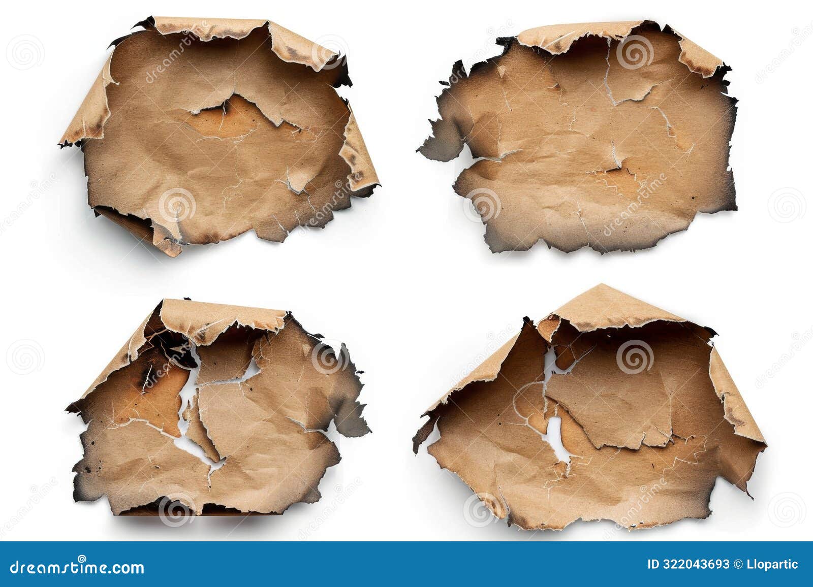 High-resolution Image Showcasing Different Pieces of Burnt Paper with ...