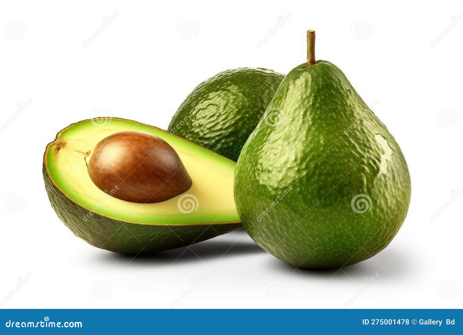 Avocado Isolated on White Background Stock Illustration - Illustration ...
