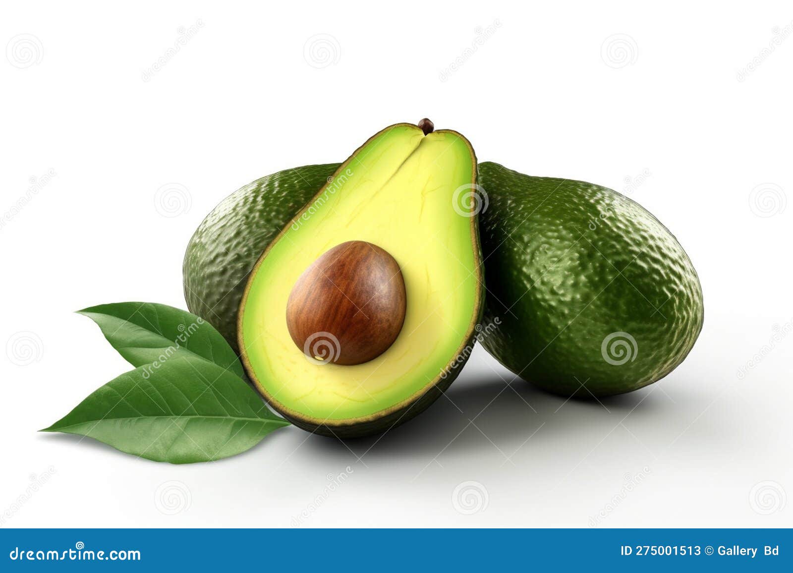 Avocado Isolated on White Background Stock Illustration - Illustration ...
