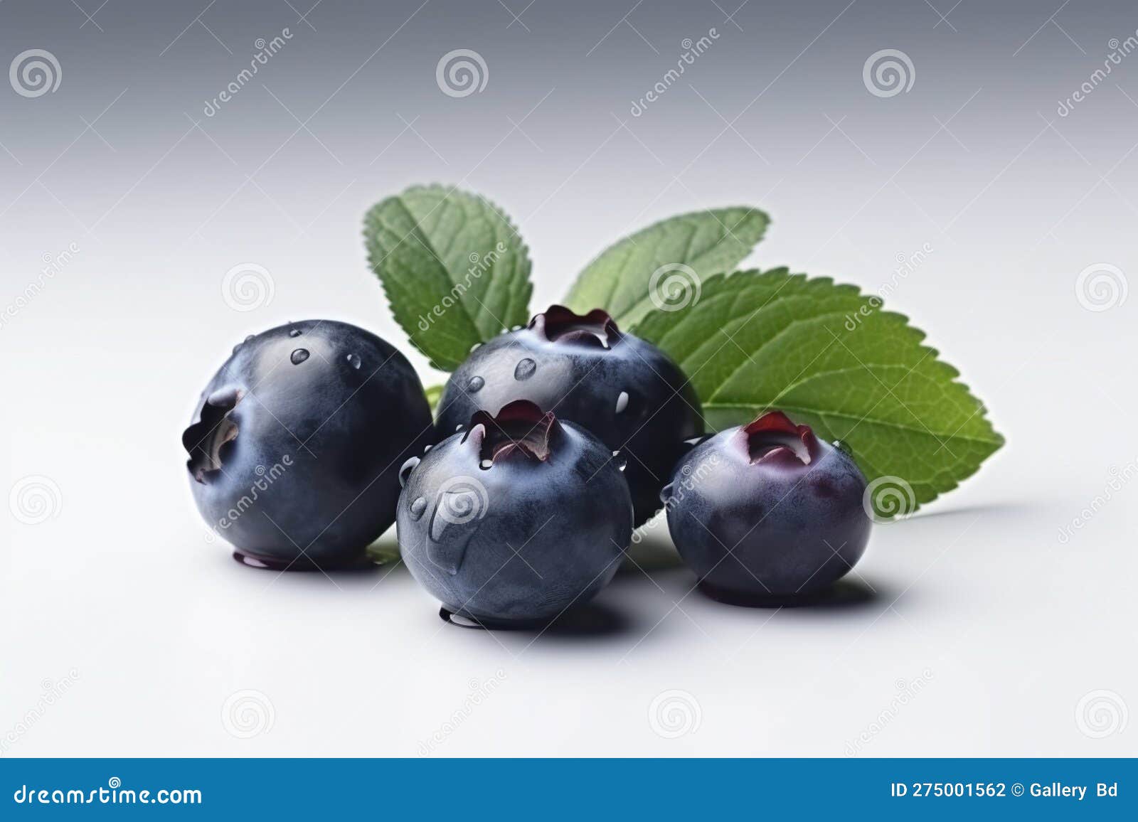 Blueberries with Leaves on a White Background Stock Illustration ...