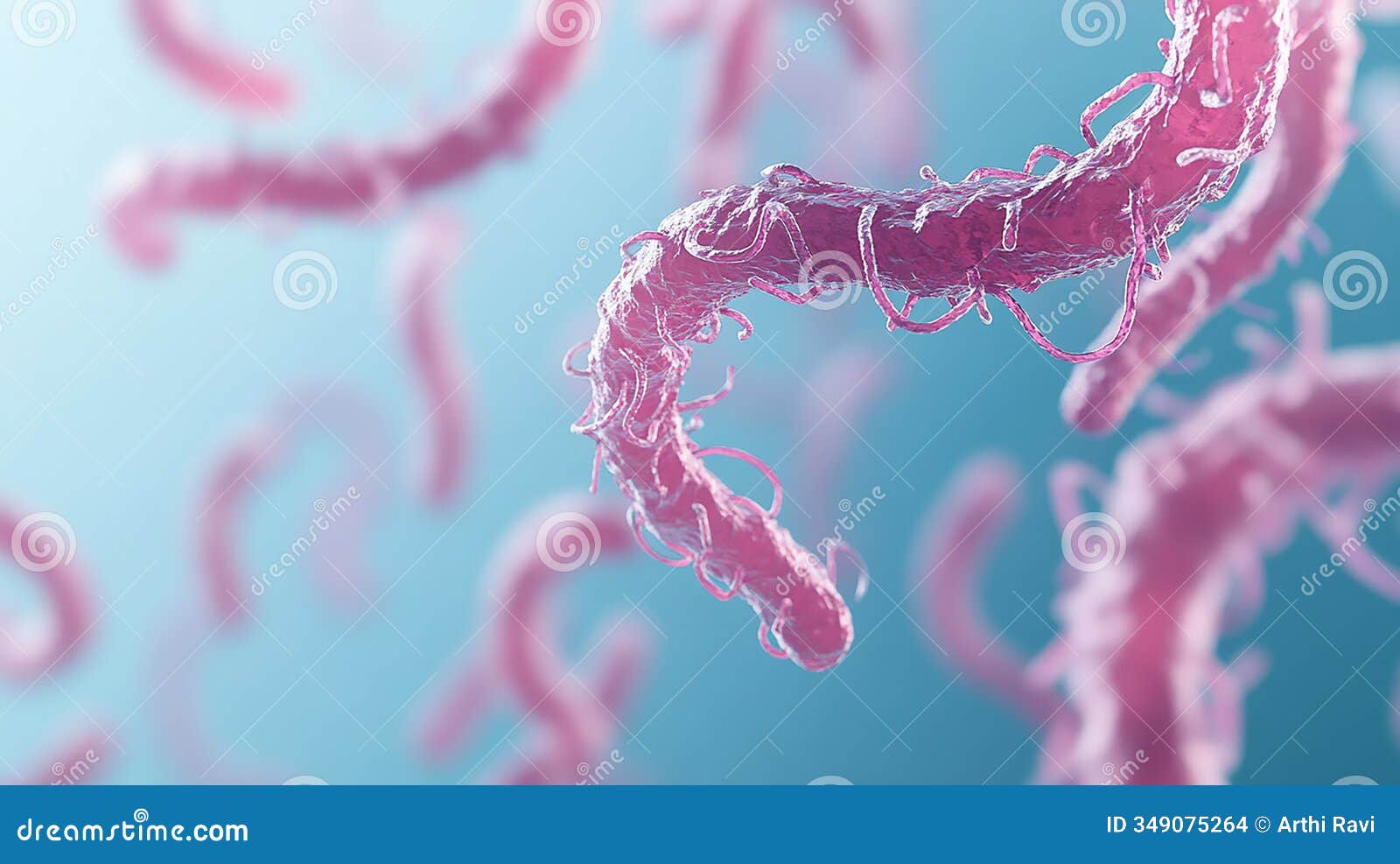 Microscopic View of the Marburg Virus, Showcasing Its Filamentous ...