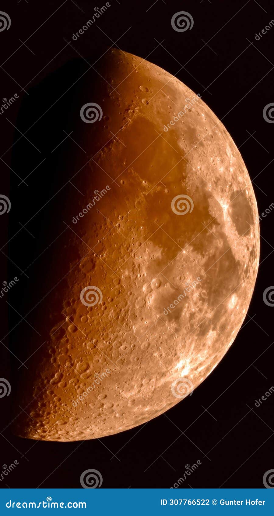 High Resolution moon photo stock photo. Image of night - 307766522