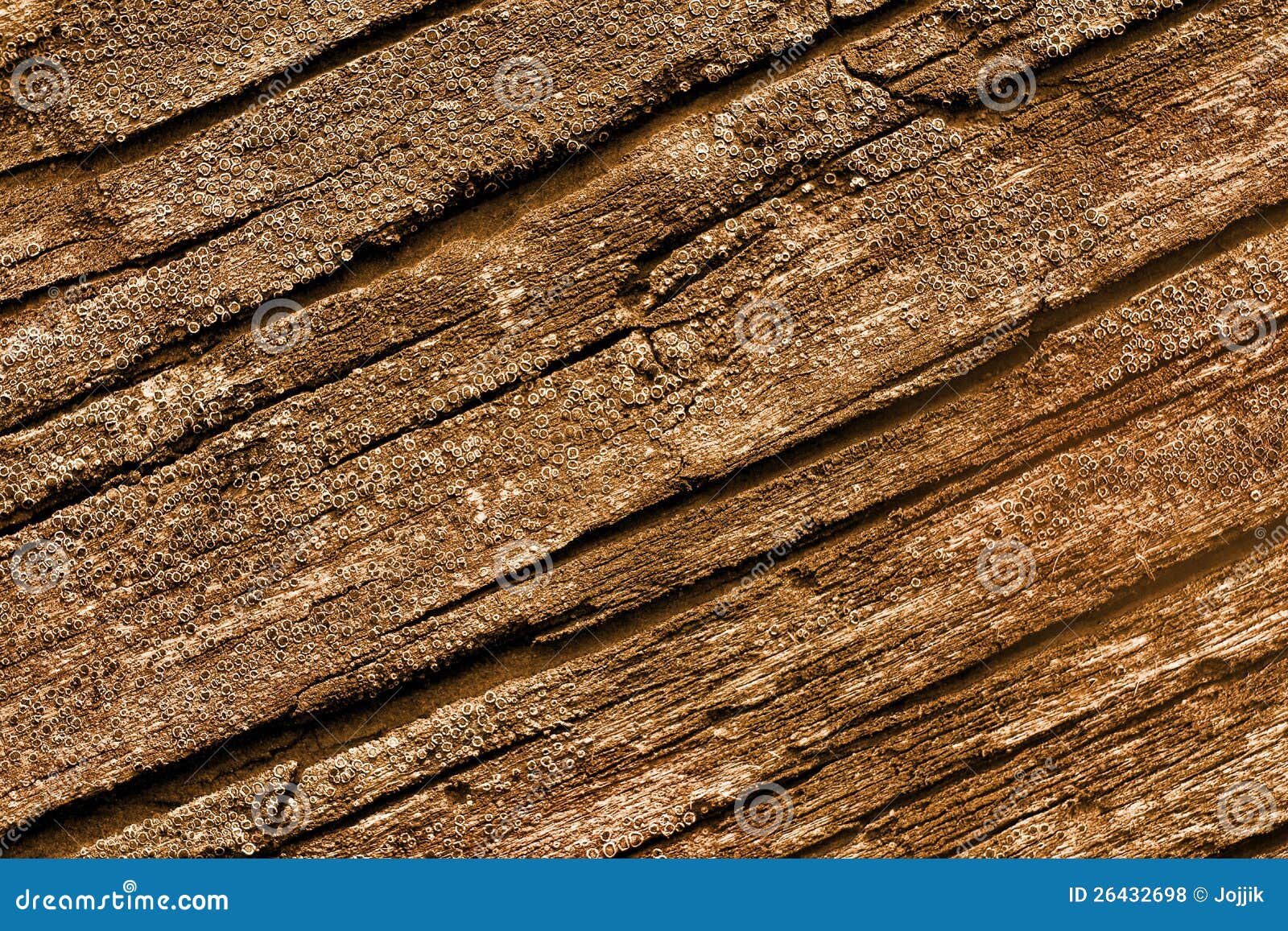 High Resolution Natural Wood Textures Royalty-Free Stock Image ...