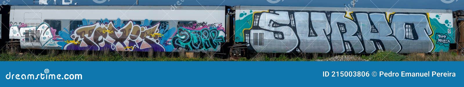 High Resolution Panoramic View of 2 Trains, Train Carriages Editorial ...