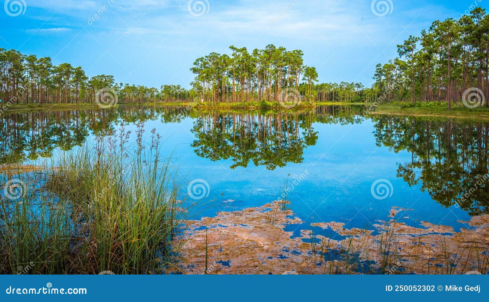 High Resolution Photo of a Lake with Placid Waters. Stock Photo - Image ...