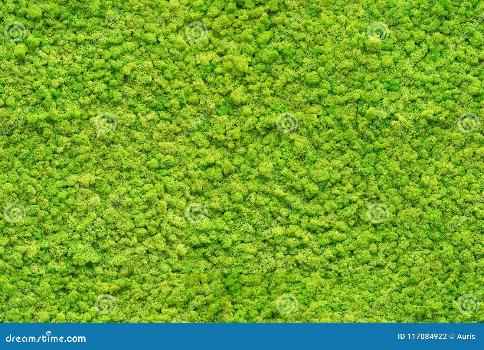 Seamless Close Up Green Moss Texture Stock Photo - Image of detail ...
