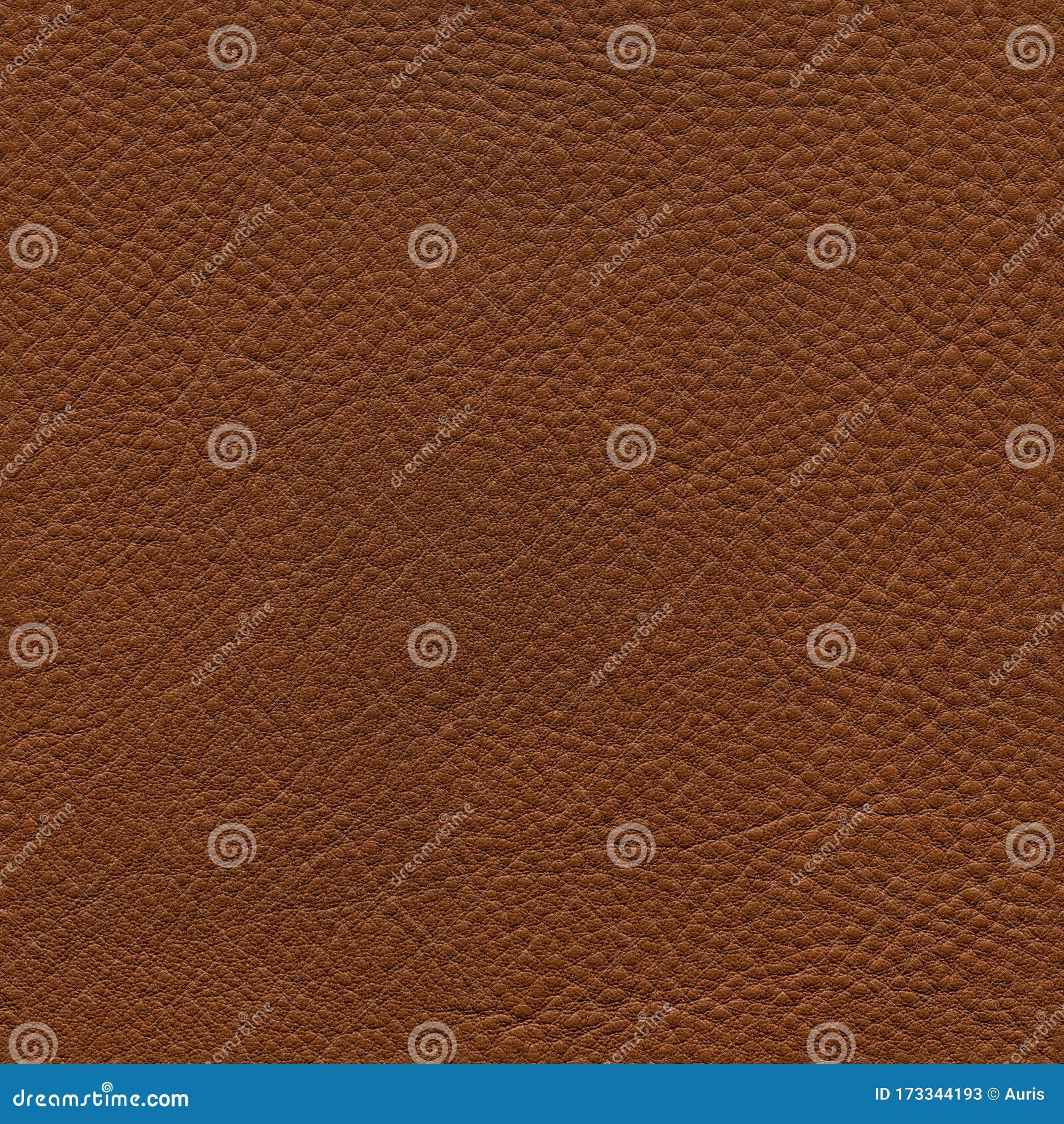 Seamless Leather Texture Royalty-Free Stock Photo | CartoonDealer.com ...
