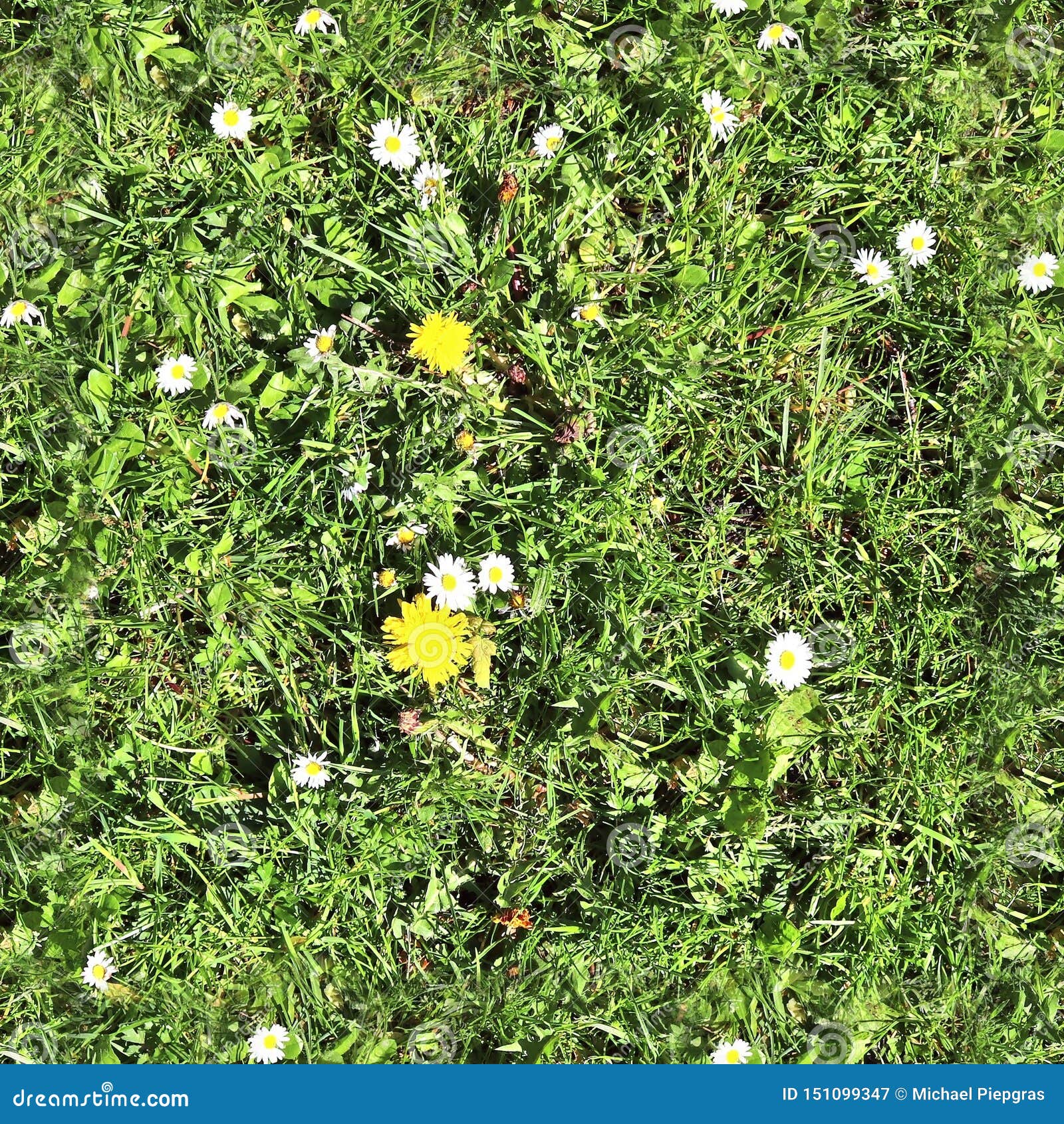 High Resolution Seemless Texture of Green Grass and Plants for 3d ...