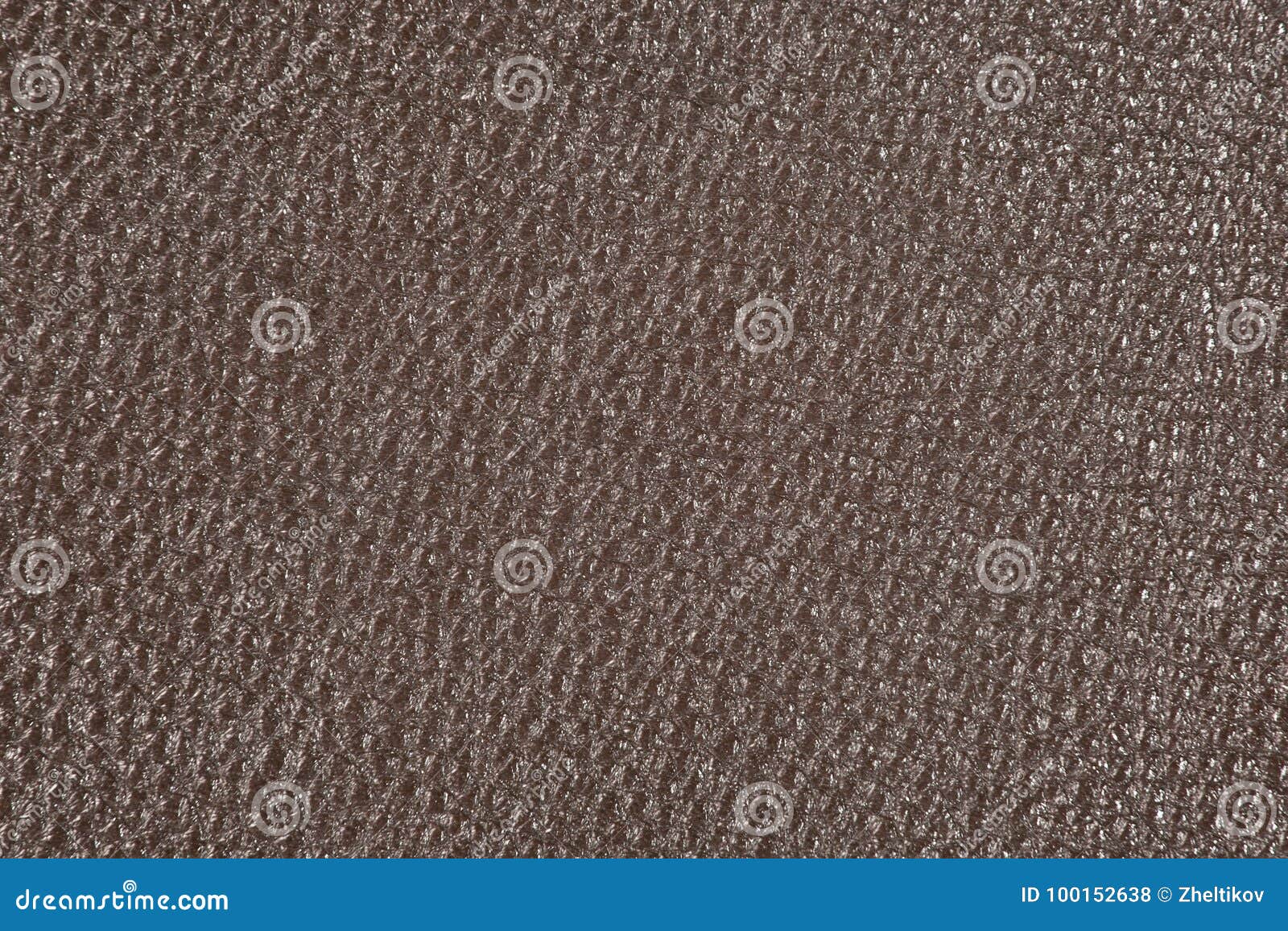 High Resolution Texture. Background. Skin. Stock Photo - Image of ...