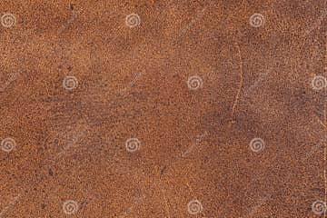 High Resolution Texture. Background. Skin. Stock Photo - Image of ...