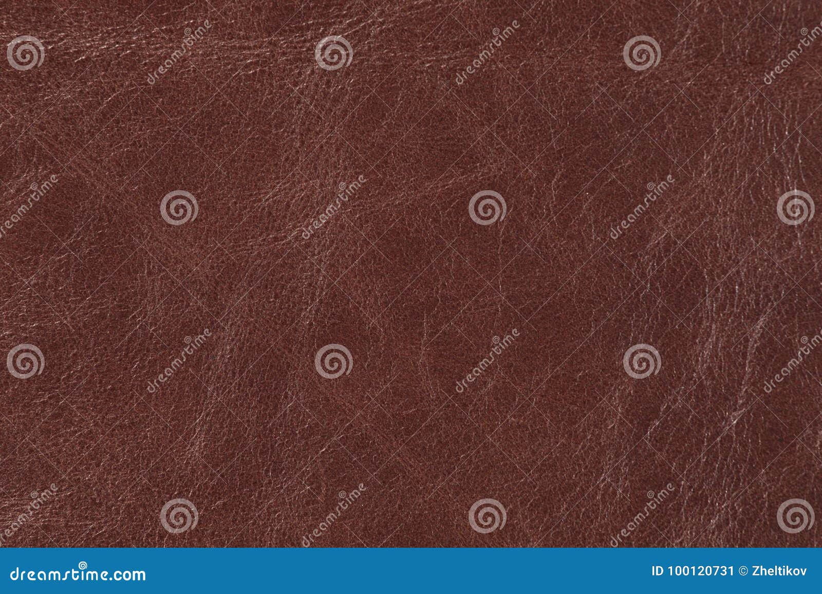 High Resolution Texture. Background. Skin. Stock Image - Image of ...