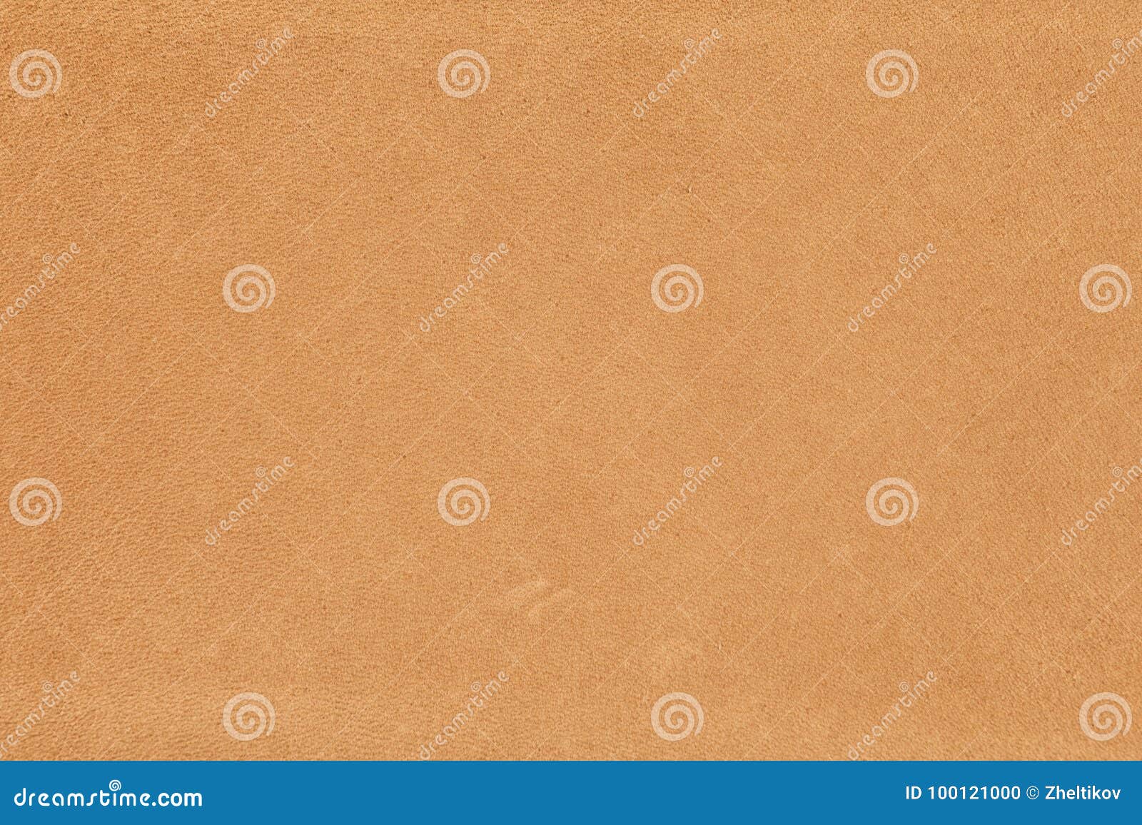 High Resolution Texture. Background. Skin. Stock Photo - Image of ...