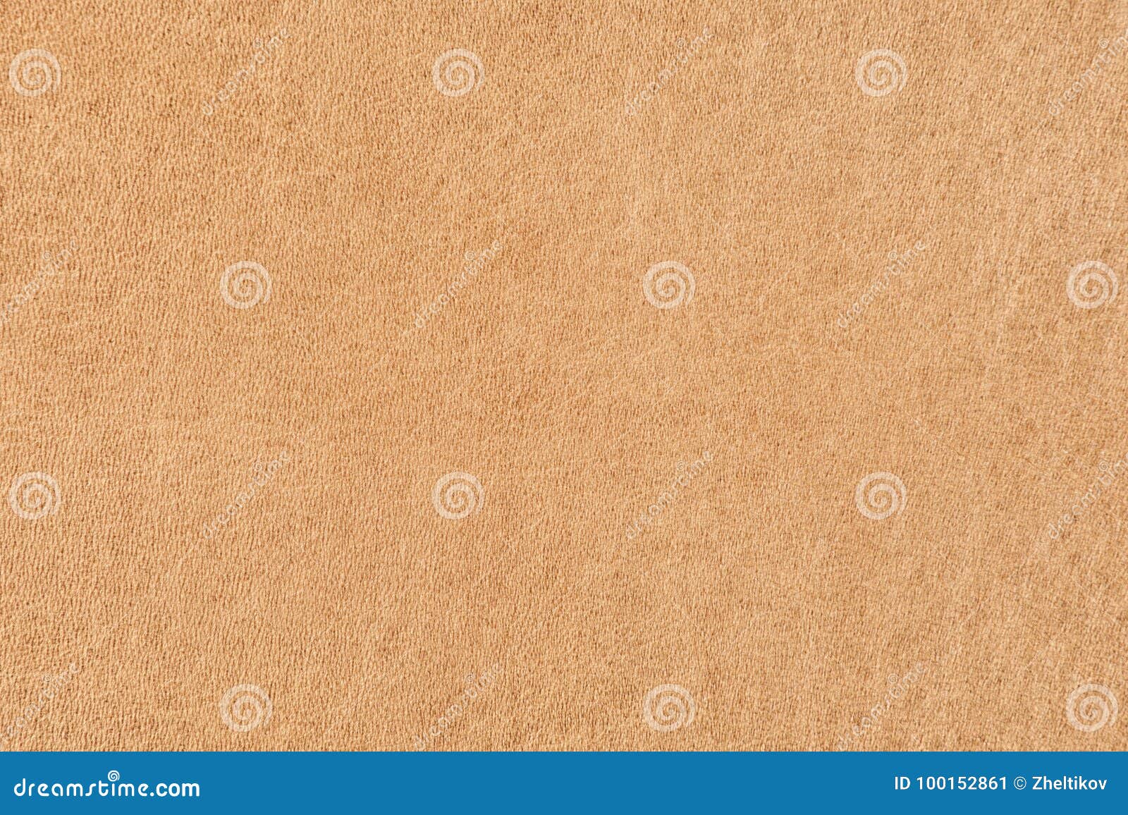 High Resolution Texture. Background. Skin. Stock Image - Image of ...