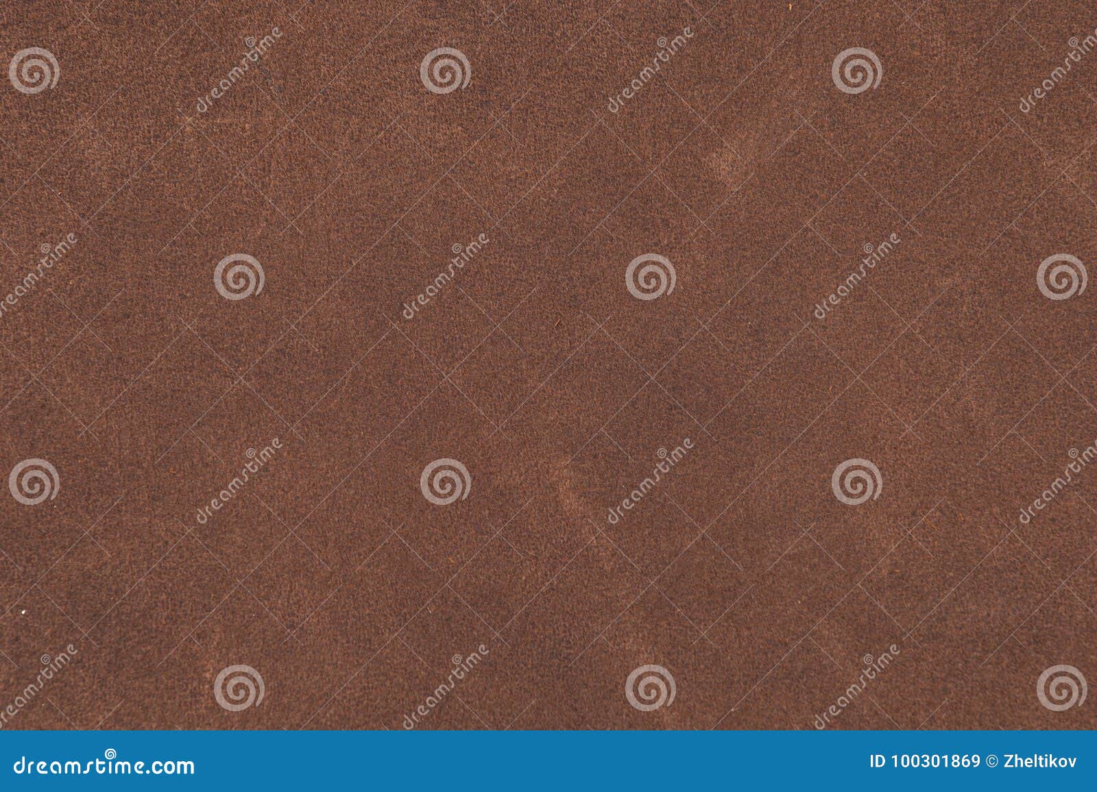 High Resolution Texture. Background. Skin. Stock Image - Image of ...