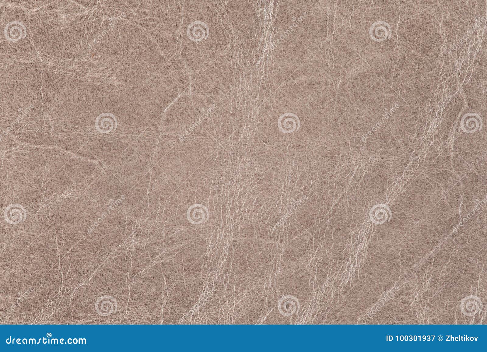 High Resolution Texture. Background. Skin. Stock Image - Image of ...