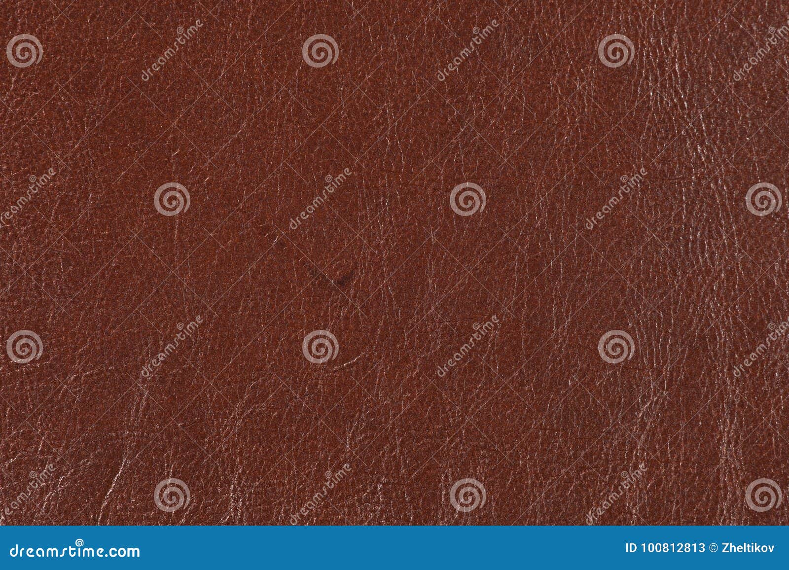 High Resolution Texture. Background. Skin. Stock Image - Image of ...