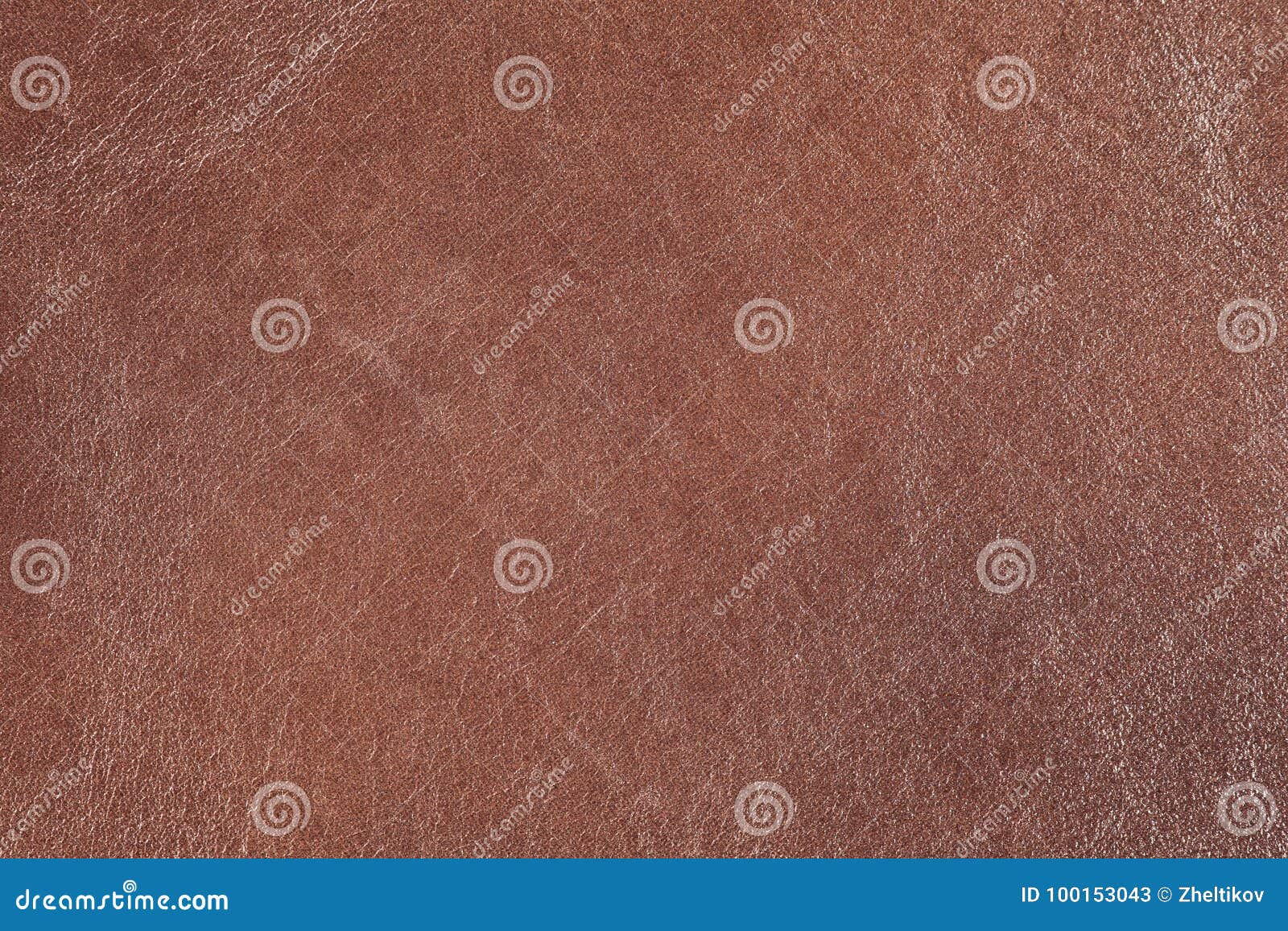 High Resolution Texture. Background. Skin. Stock Image - Image of ...