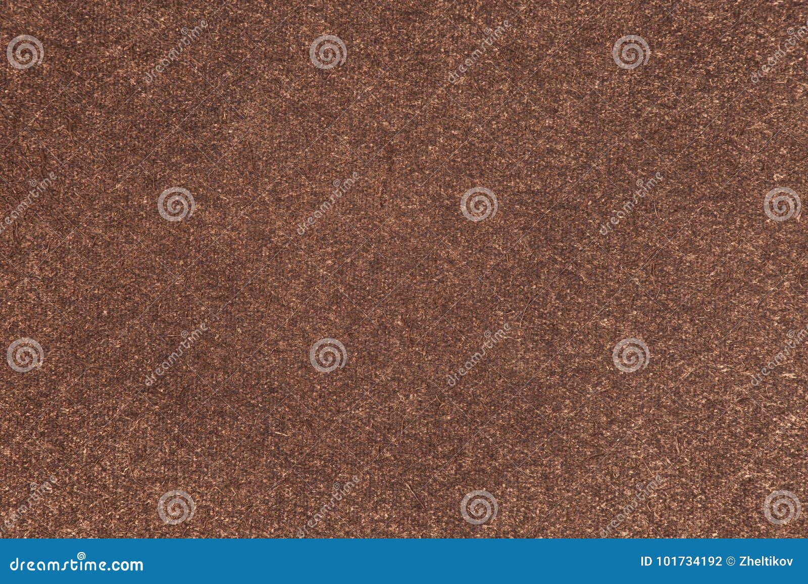 High Resolution Texture. Background. Skin Stock Photo - Image of ...