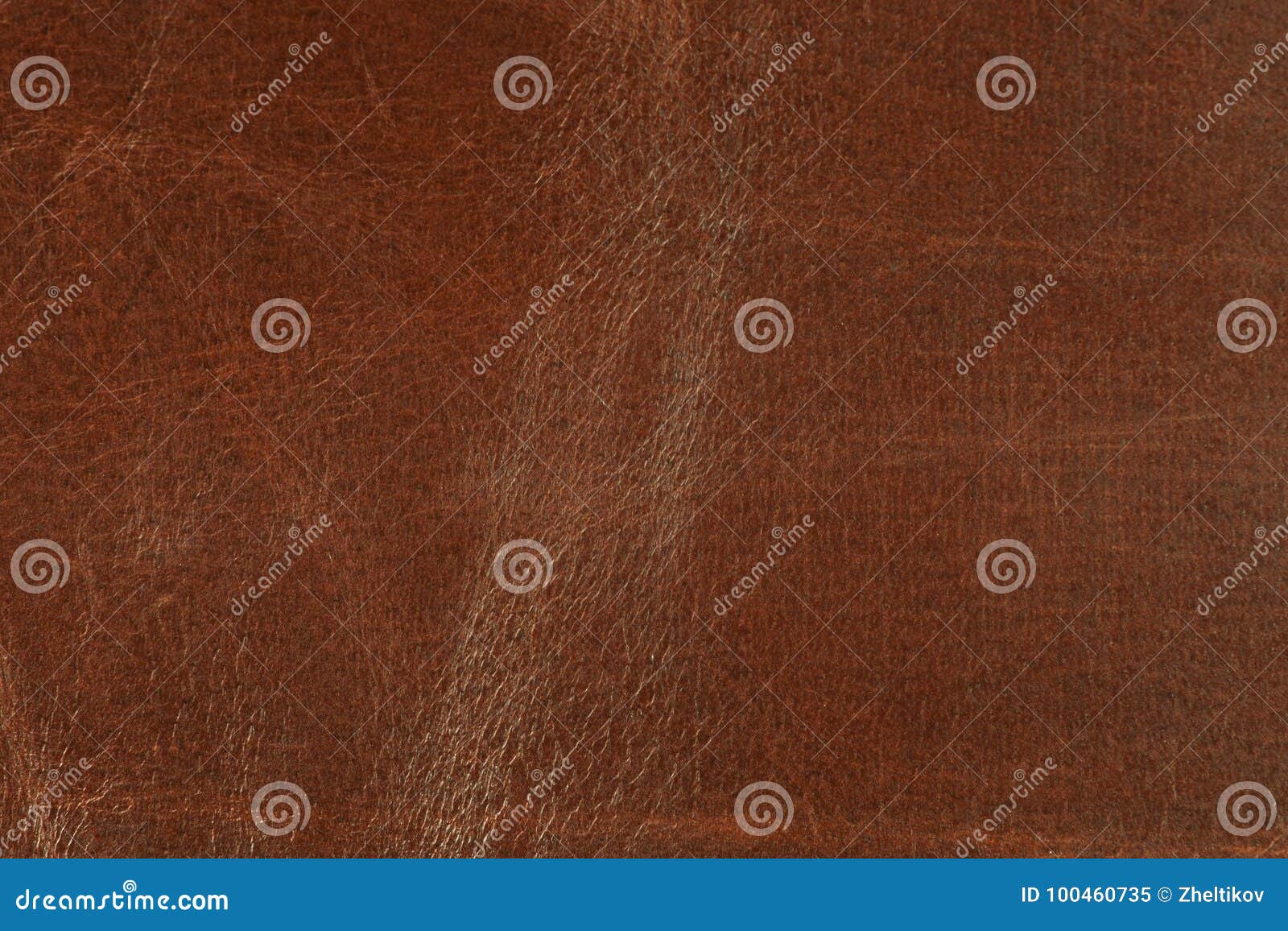 High Resolution Texture. Background. Skin. Stock Image - Image of wear ...