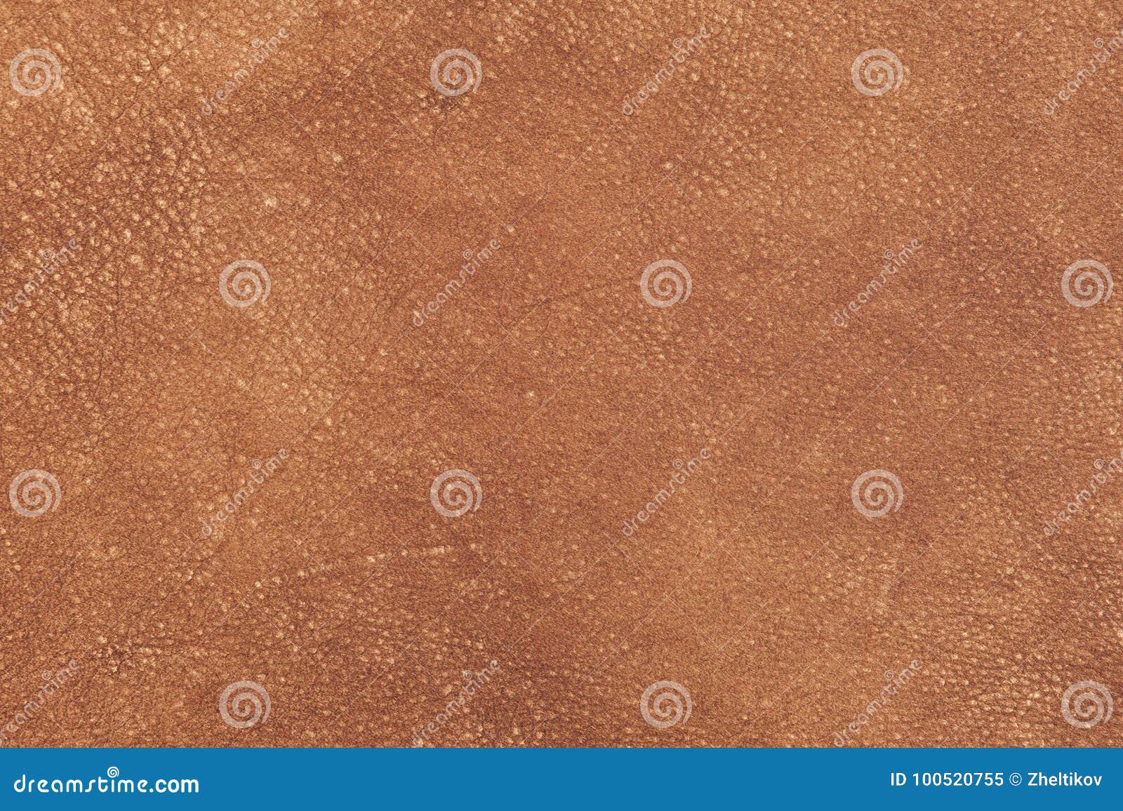 High Resolution Texture. Background. Skin. Stock Image - Image of ...