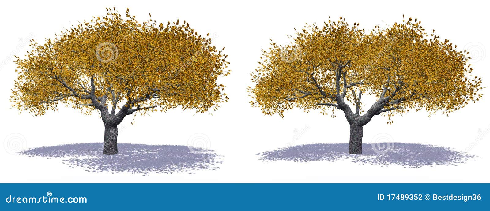 High Resolution Tree Isolated Stock Illustration - Illustration of ...