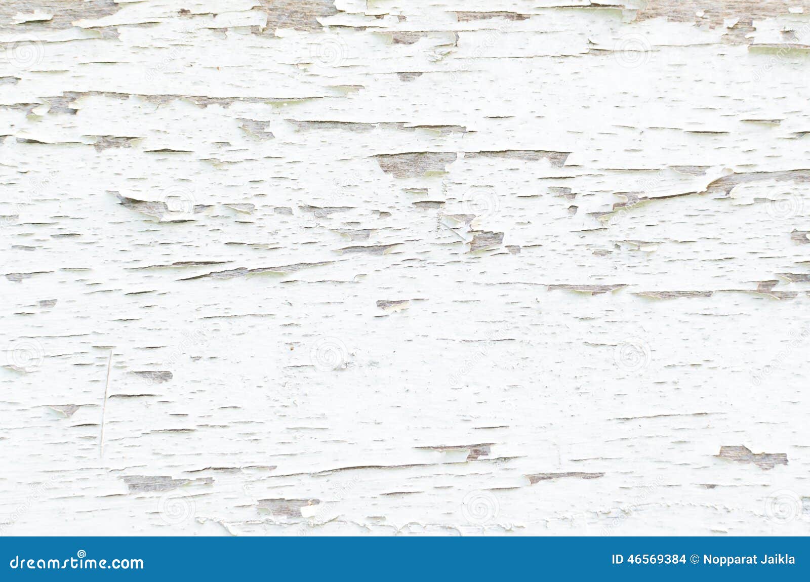 High Resolution White Wood Backgrounds Stock Photo - Image of natural ...