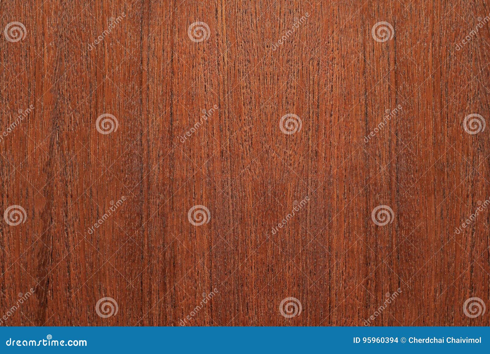 High Resolution of Wood Texture Background Stock Photo - Image of ...