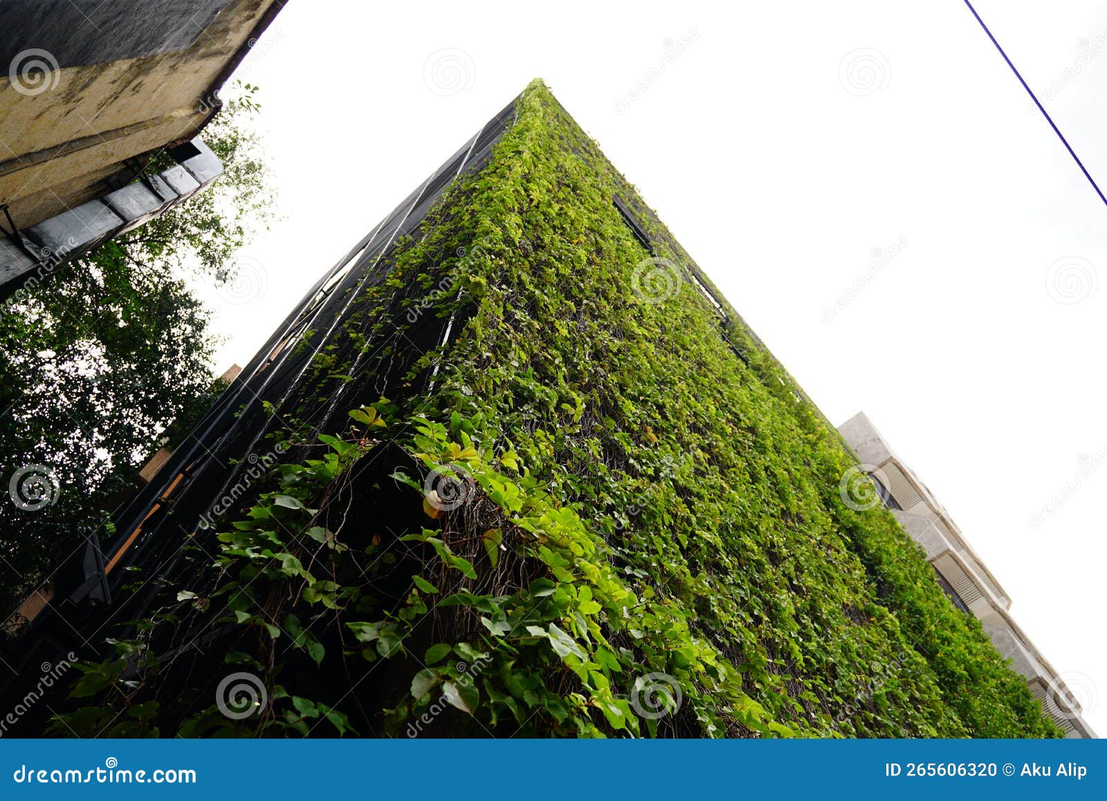 High-rise Building Covered with Plants Stock Photo - Image of house ...