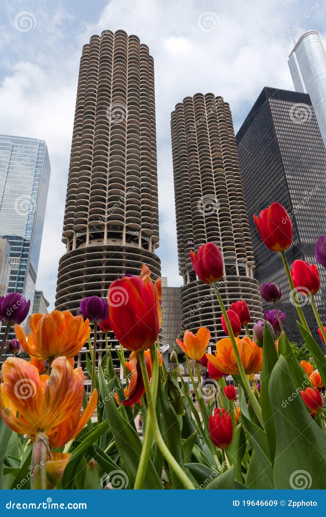 1,815 Chicago High Rise Photos - Free & Royalty-Free Stock Photos from ...