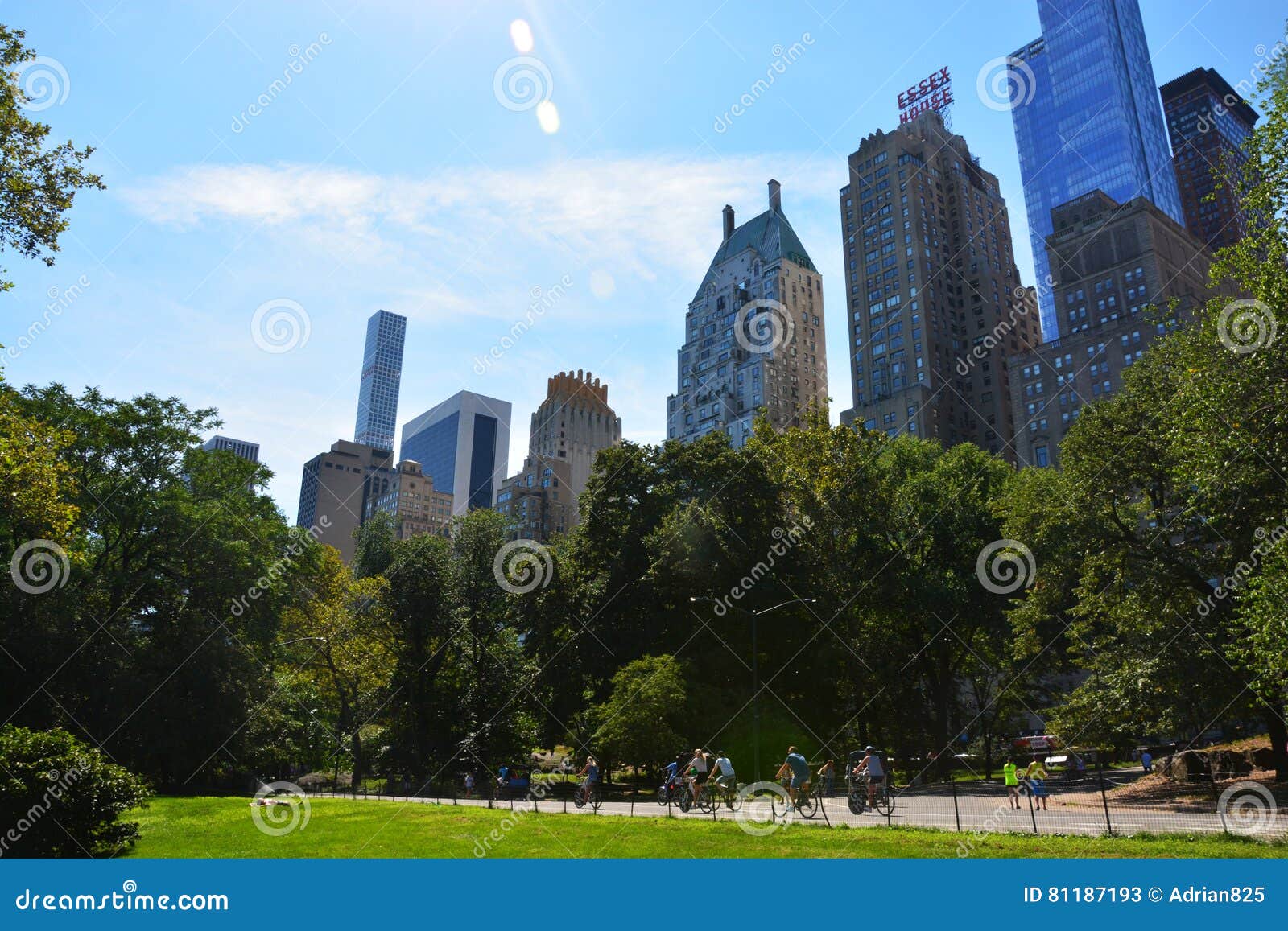 High Rise Buildings Around Central Park Summer Stock Image - Image of ...