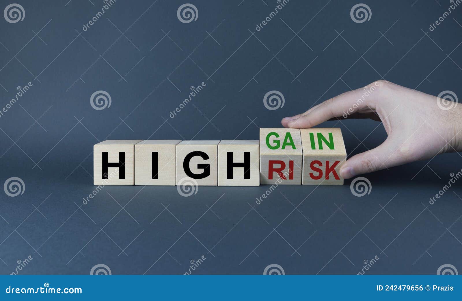 High Risk or High Gain. the Concept of Risks and Profits in Business ...