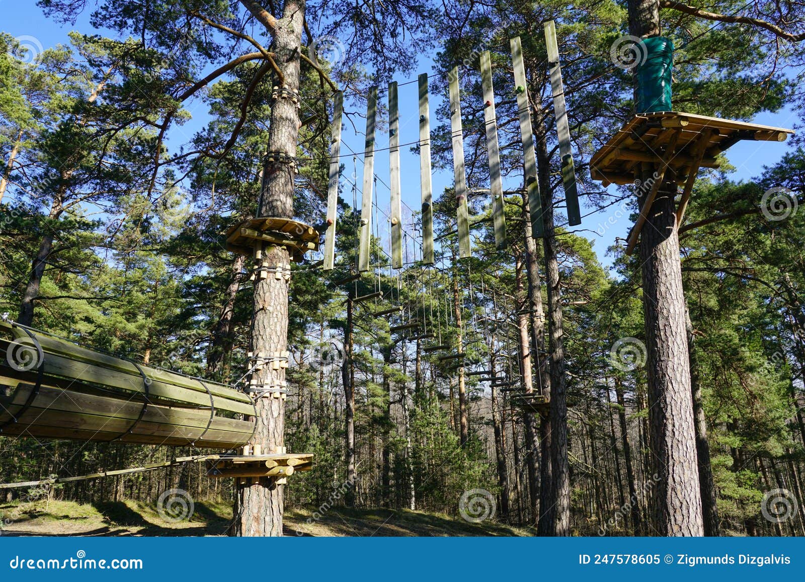 High Rope Bridge in a Pine Forest, Part of a Ropes Course Stock Image ...