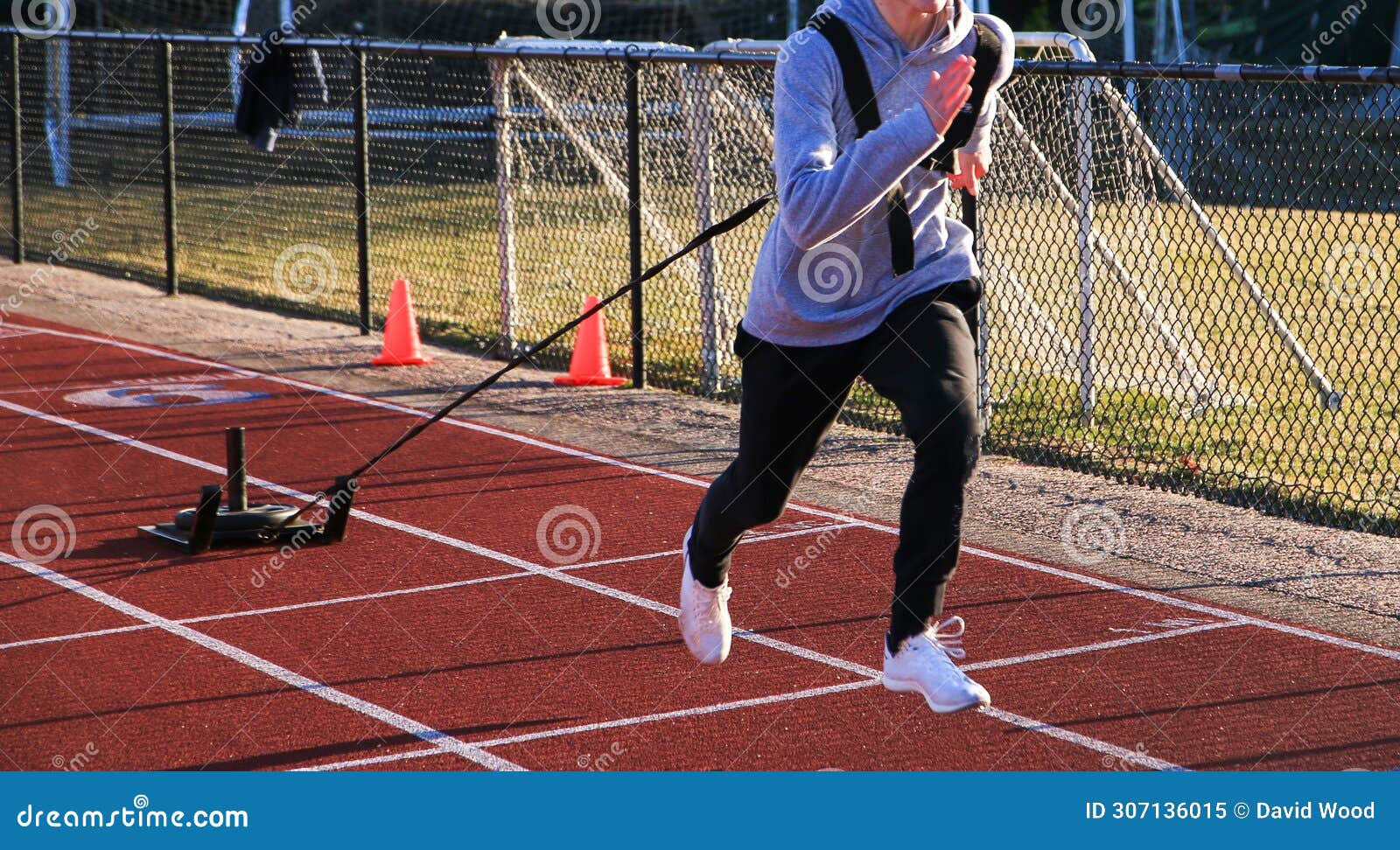 Weight Pulling Science Model Theory Project Model Displayed In Park In ...