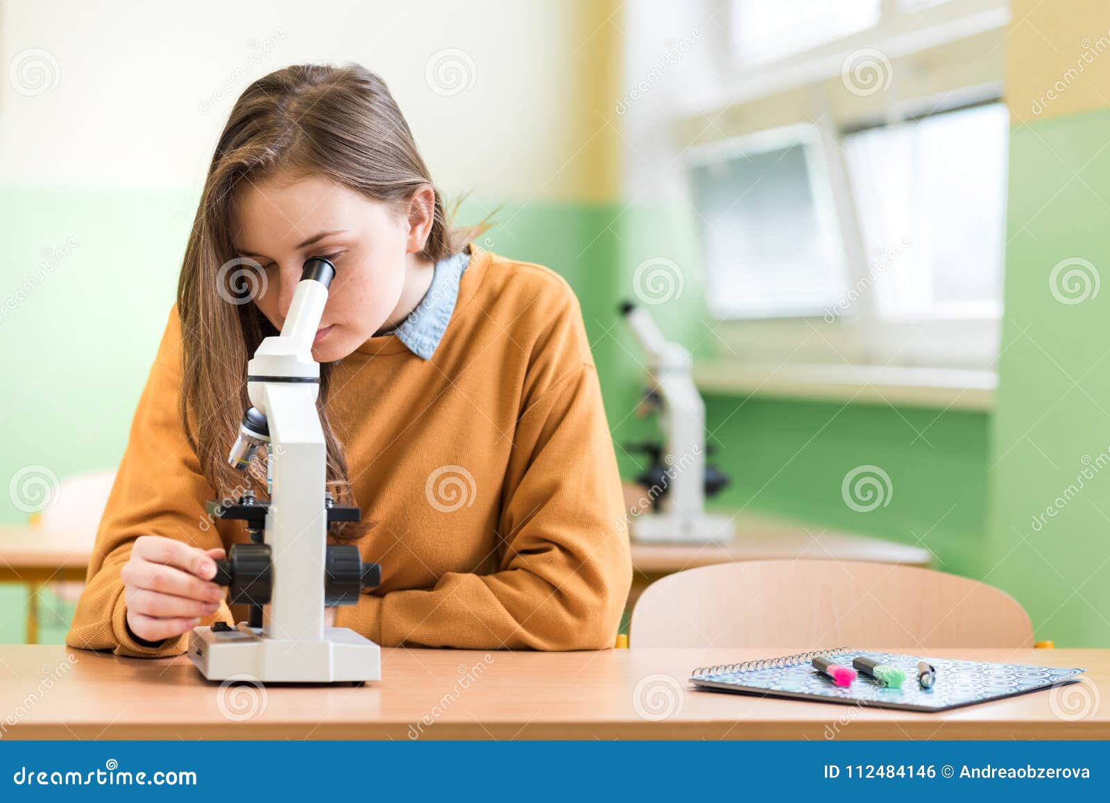 Student Using Microscope To Examine Samples in Biology Class. Stock ...