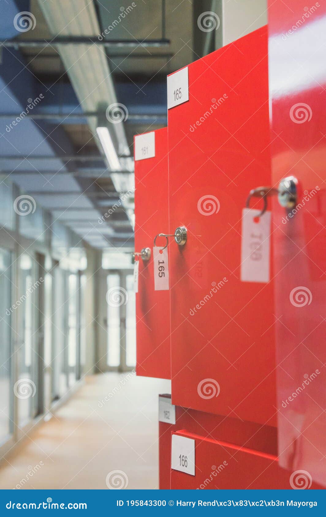 High School Hallway and Lockers Stock Photo - Image of interior, aisle ...