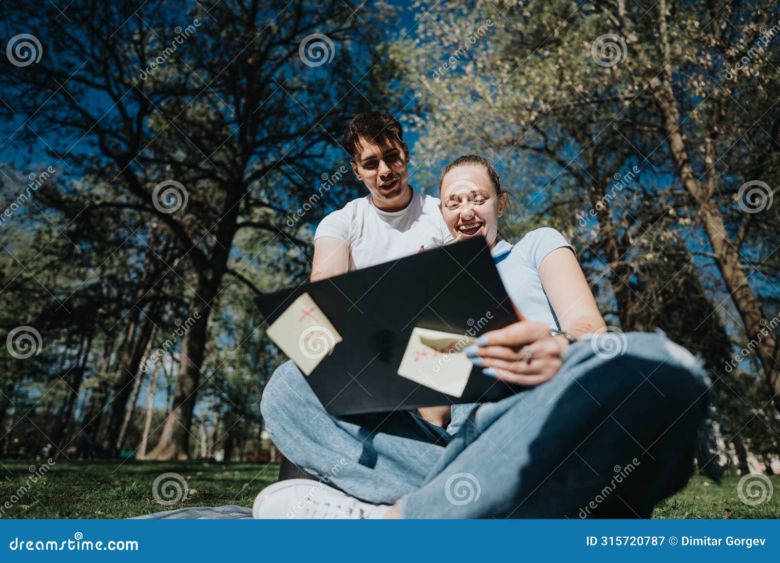 High School Students Collaborating on Homework in a Sunny Park Stock ...