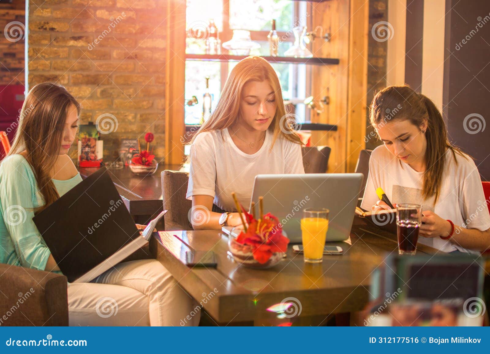 High School Students Studying Together in a Cafe. Stock Photo - Image ...
